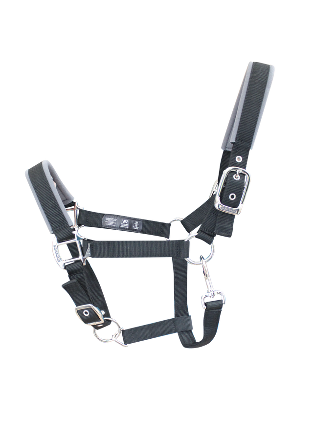 Contour Head Collar | Black | Sample – Woof Wear