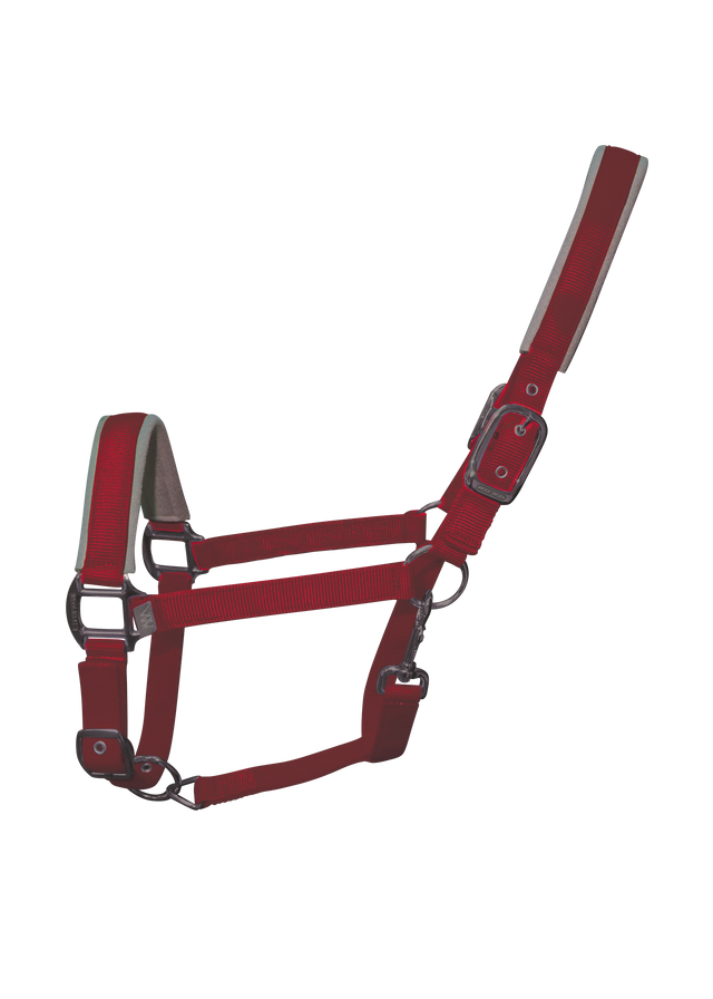 Contour Head Collar | Shiraz | Sample – Woof Wear